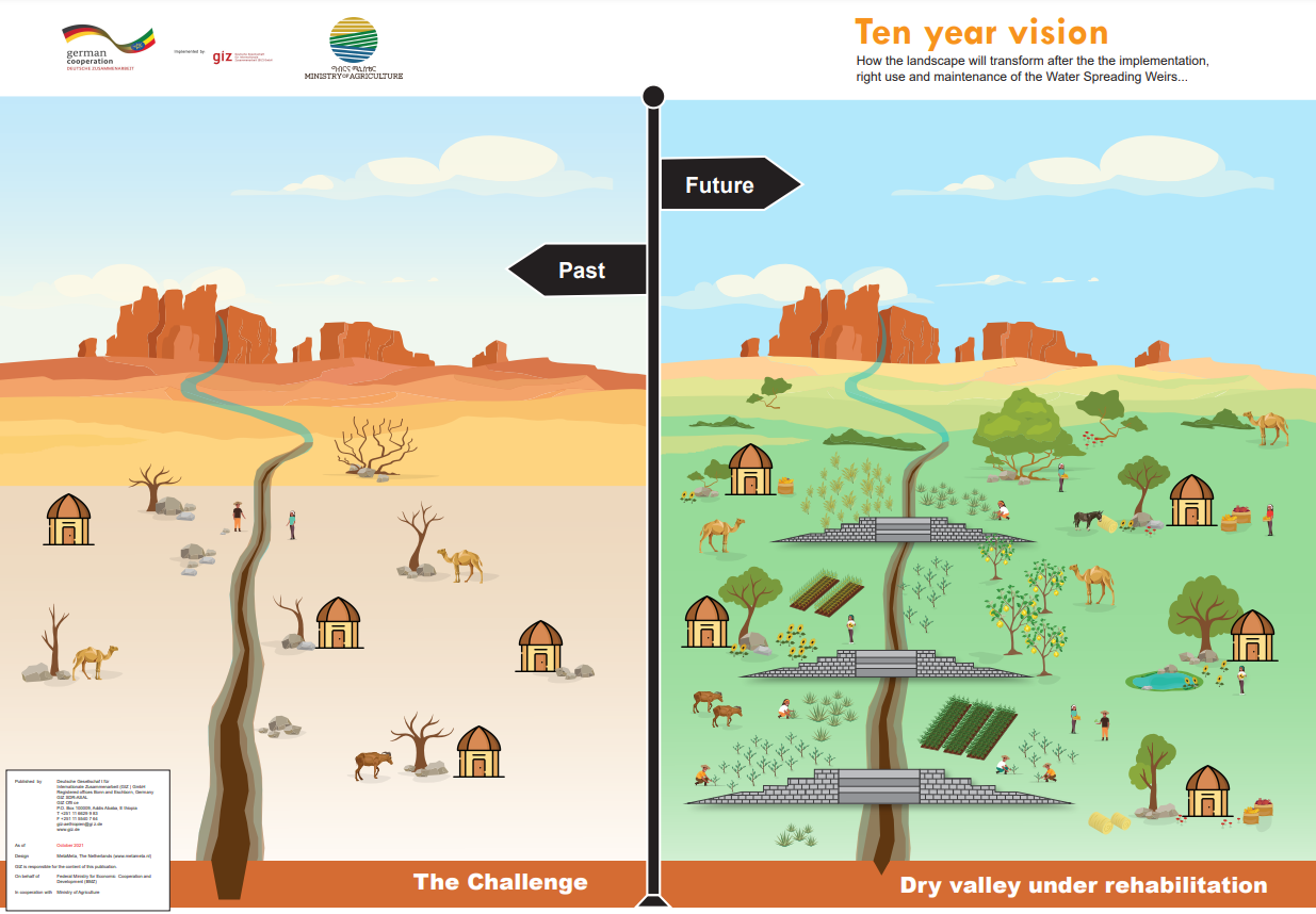 Ten Year Vision Poster - DREAM for Dry Lowlands
