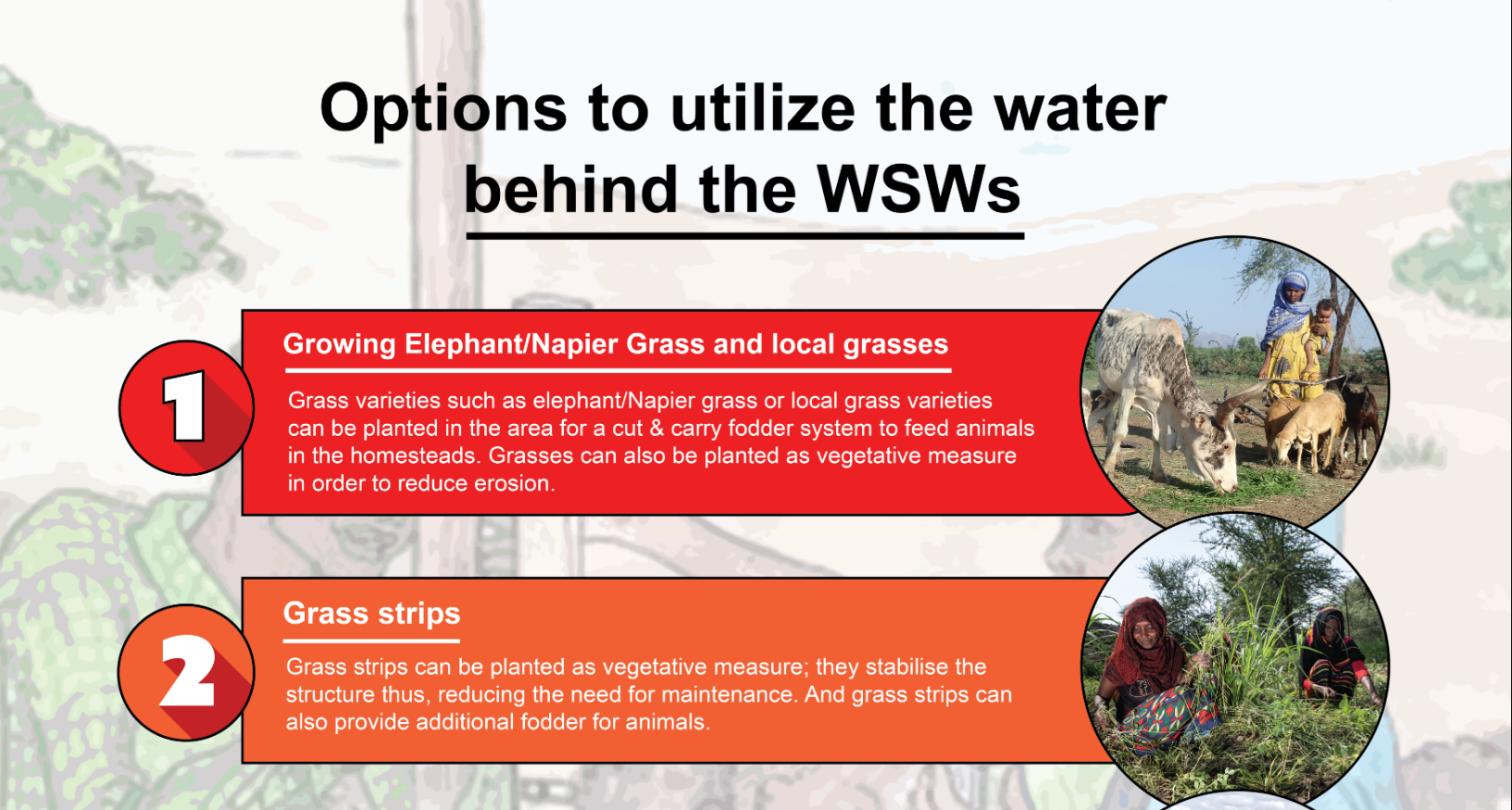 Options to utilize the water behind the WSWs Poster - DREAM for Dry ...
